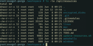 Exegol, un environnement dédié à la sécurité offensive