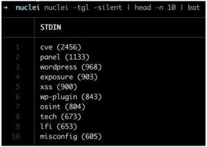 Introduction to Nuclei, an Open Source Vulnerability Scanner