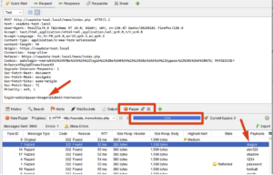 Introduction to ZAP, an Open Source Interception Proxy