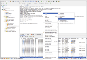 Introduction to ZAP, an Open Source Interception Proxy