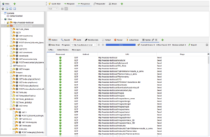 Introduction to ZAP, an Open Source Interception Proxy